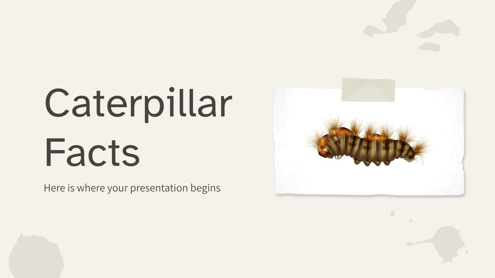 Kostenlose Tiere Google Slides Themen & PowerPoint Vorlagen