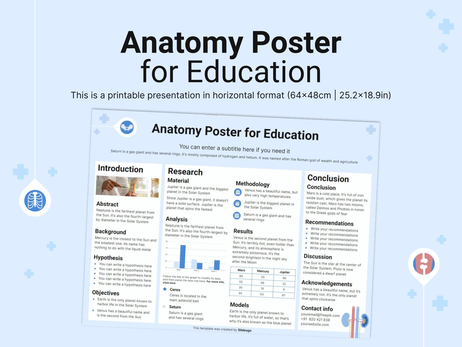 Apresentação Pôster de anatomia para educação