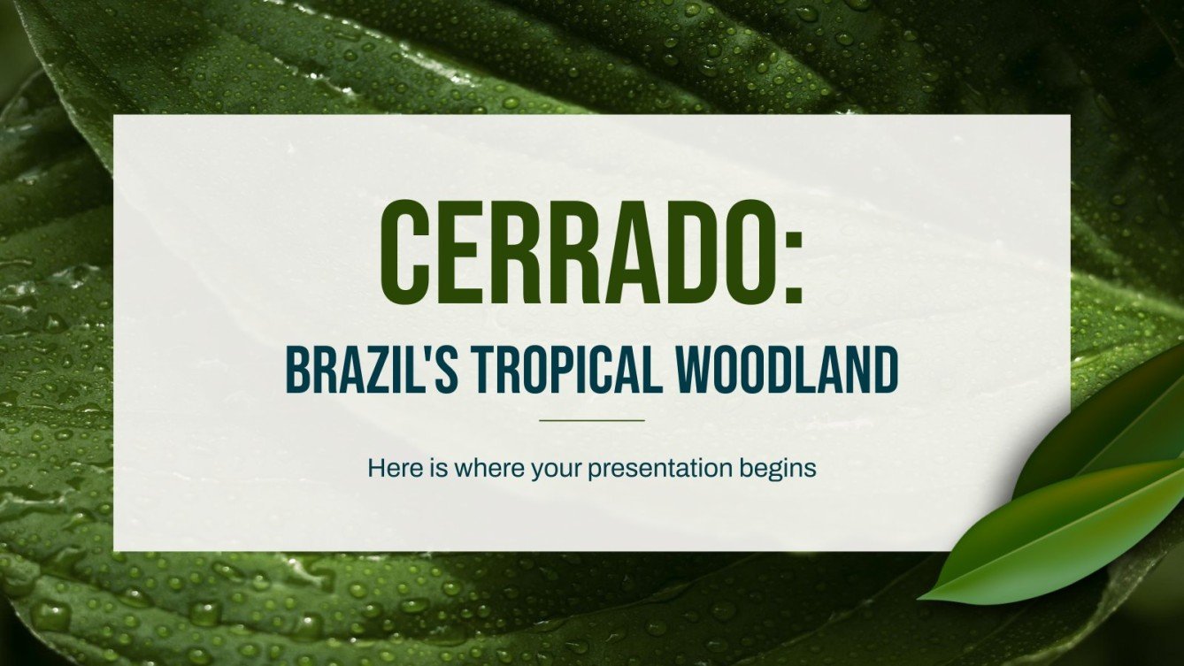 Cerrado: Brazil's Tropical Woodland Presentation
