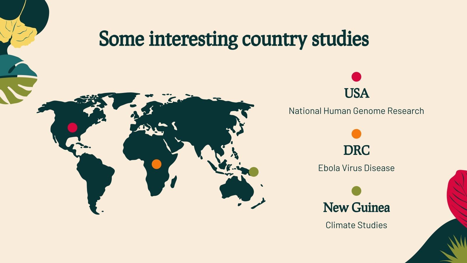 Biology Lesson for High School: The Cerrado Biome