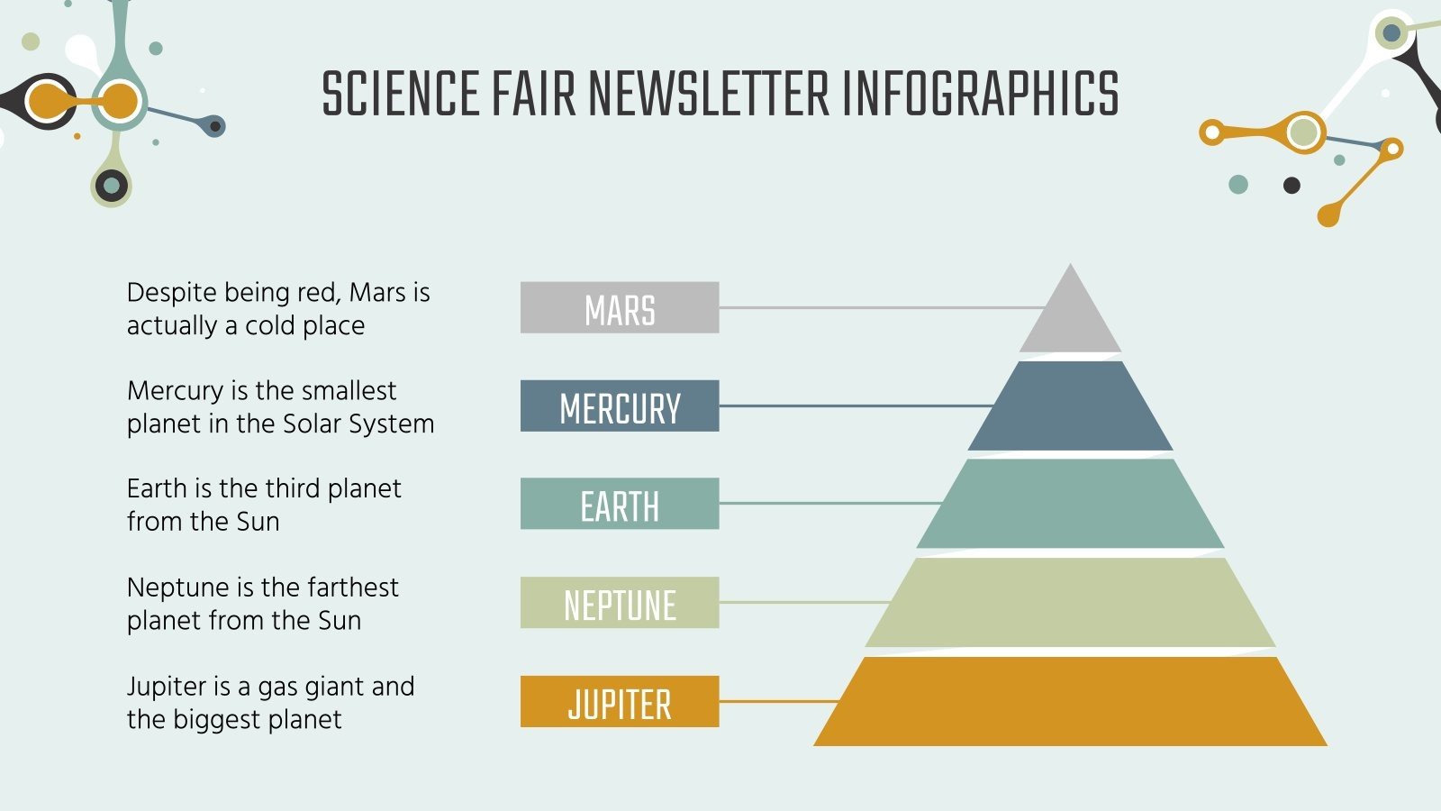 Science Fair Newsletter Infographics | Google Slides & PPT