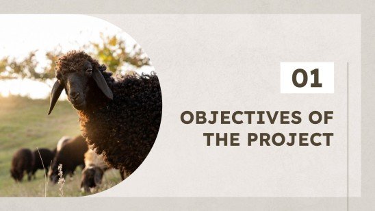 Livestock Management of Ruminant Animals Project Proposal