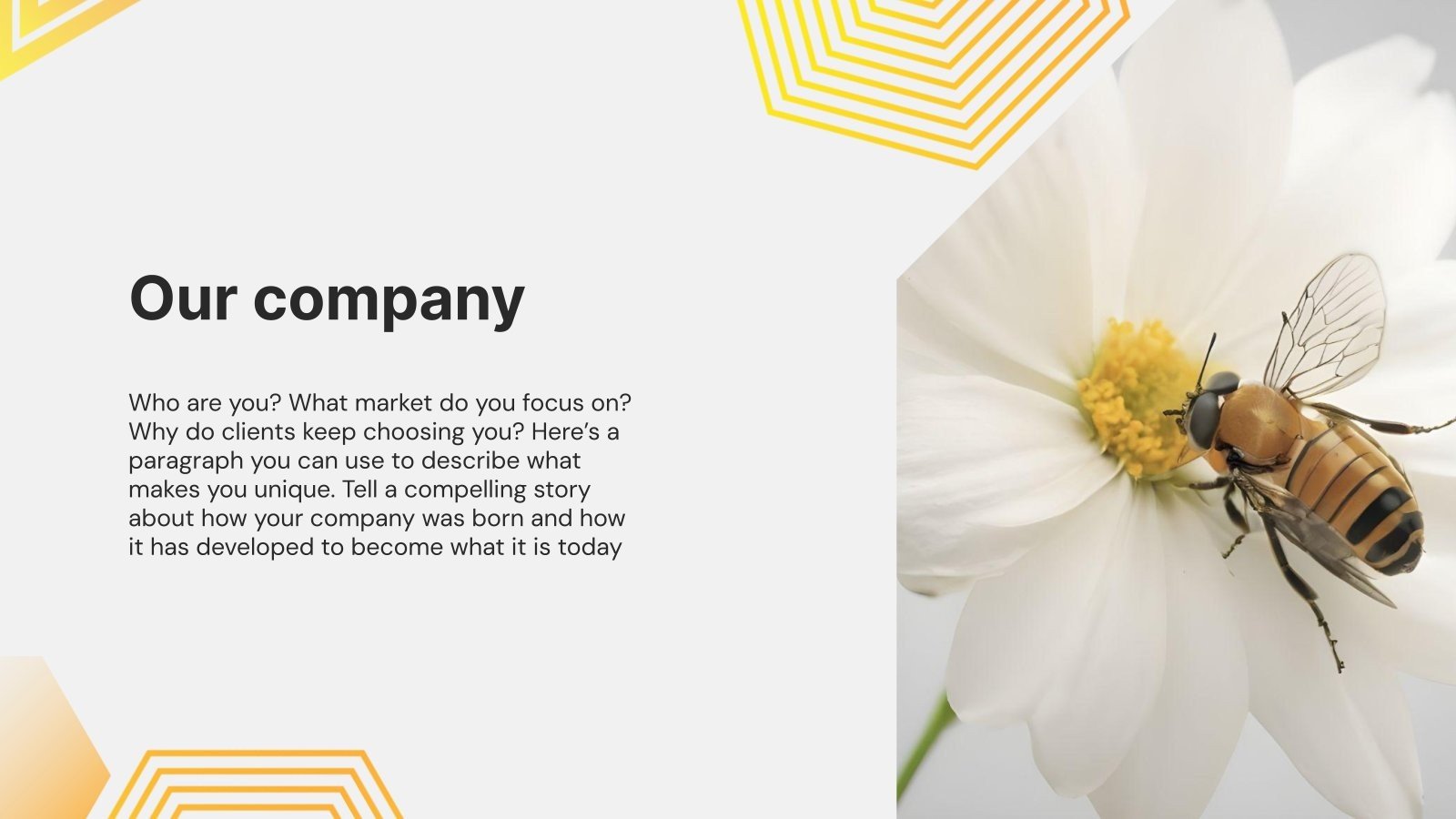 Bee Pollination Services Marketing Plan Presentation