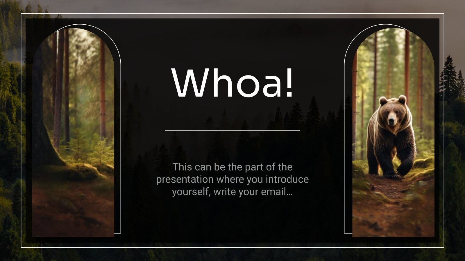 Bears in the Forest Presentation