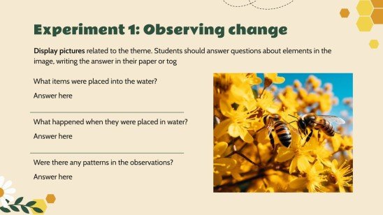 Bee Theme for Elementary Presentation