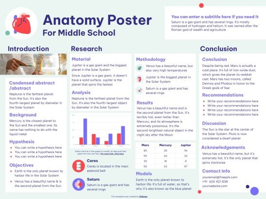 Anatomy Poster for Middle School Presentation