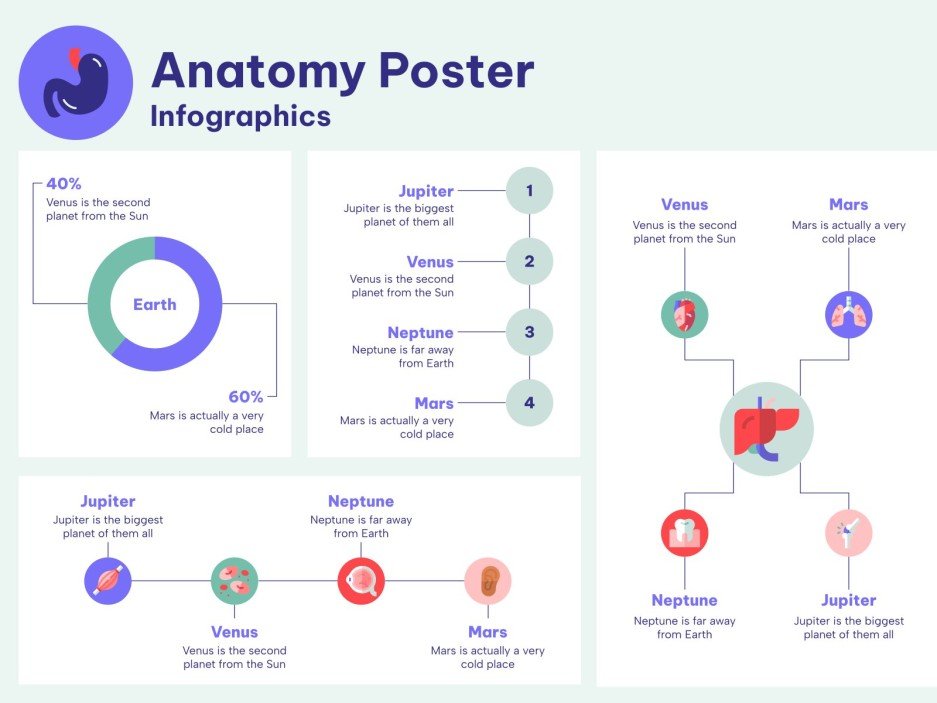 Anatomy Poster for Middle School Presentation