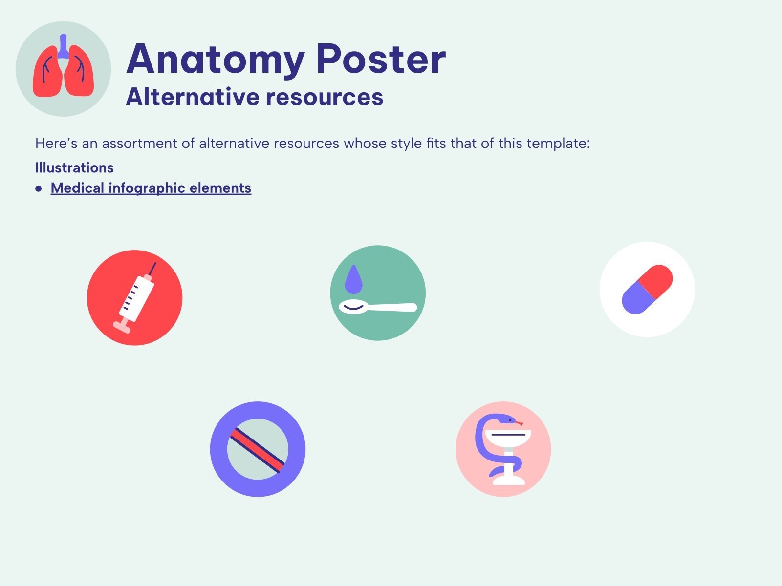 Anatomy Poster for Middle School Presentation
