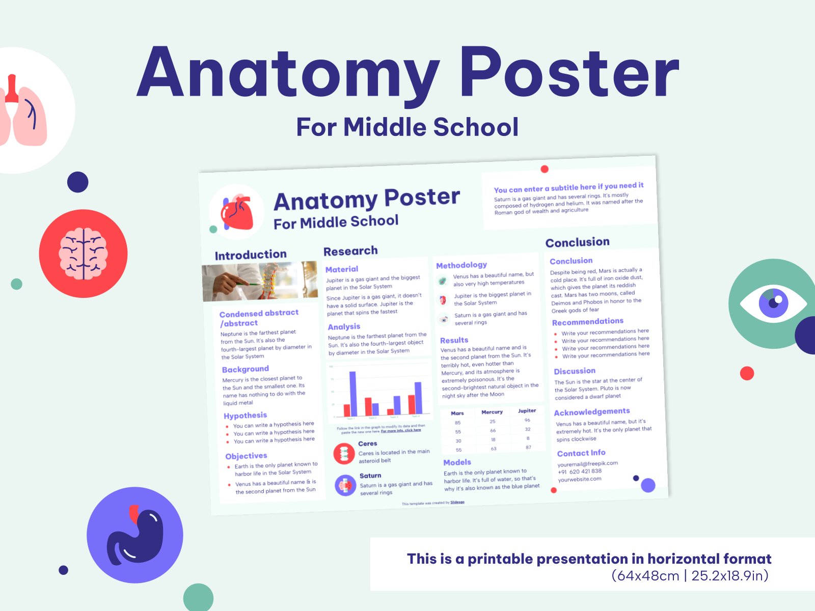 Apresentação Pôster de anatomia para o ensino médio
