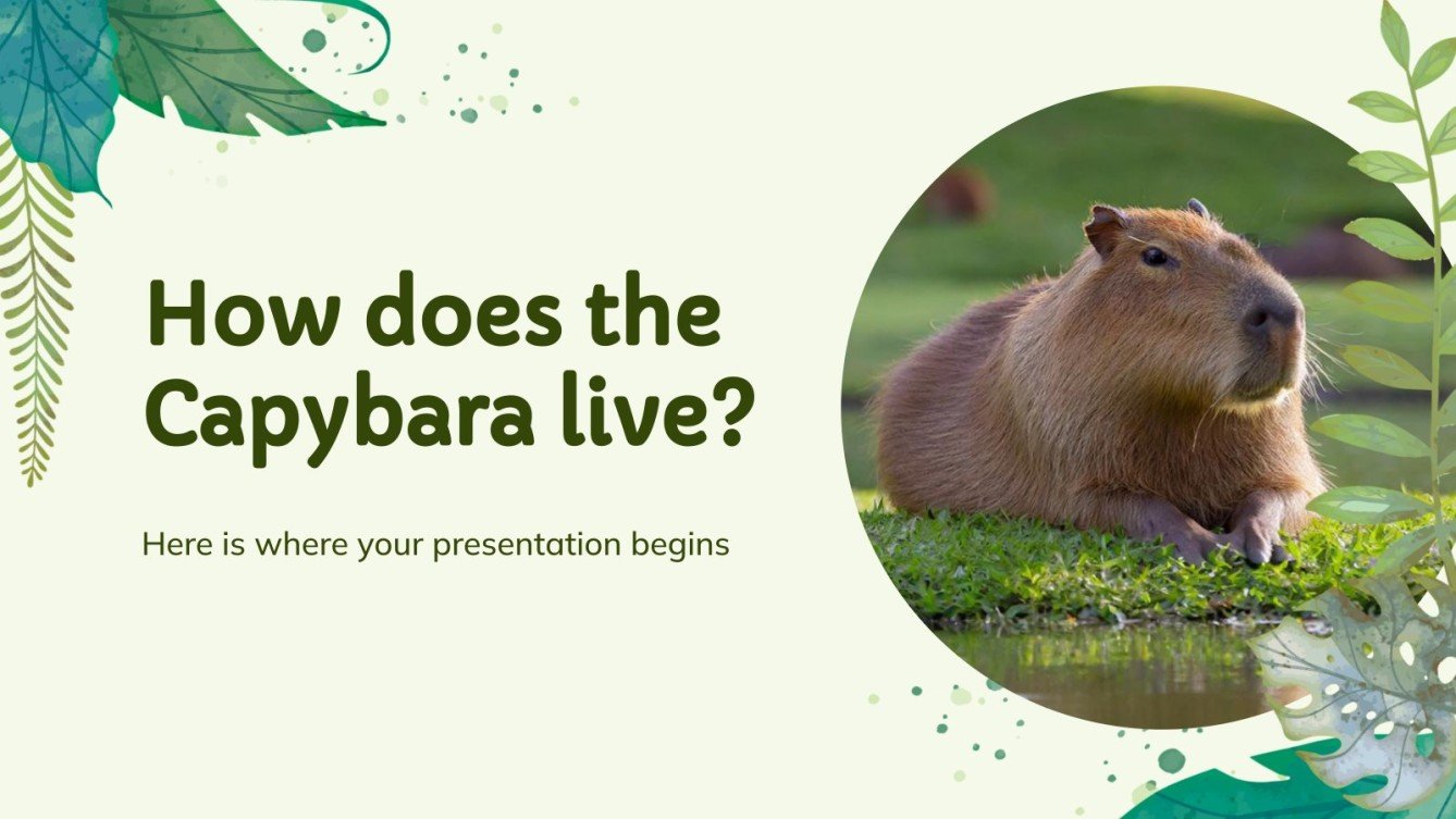 How does the Capybara live? Presentation