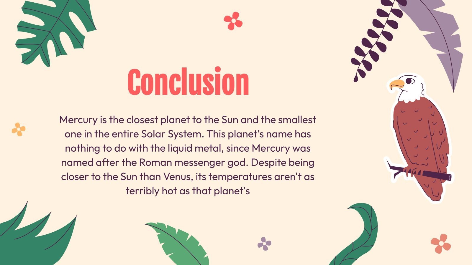 Science Activities: Ecosystems and Food Chain