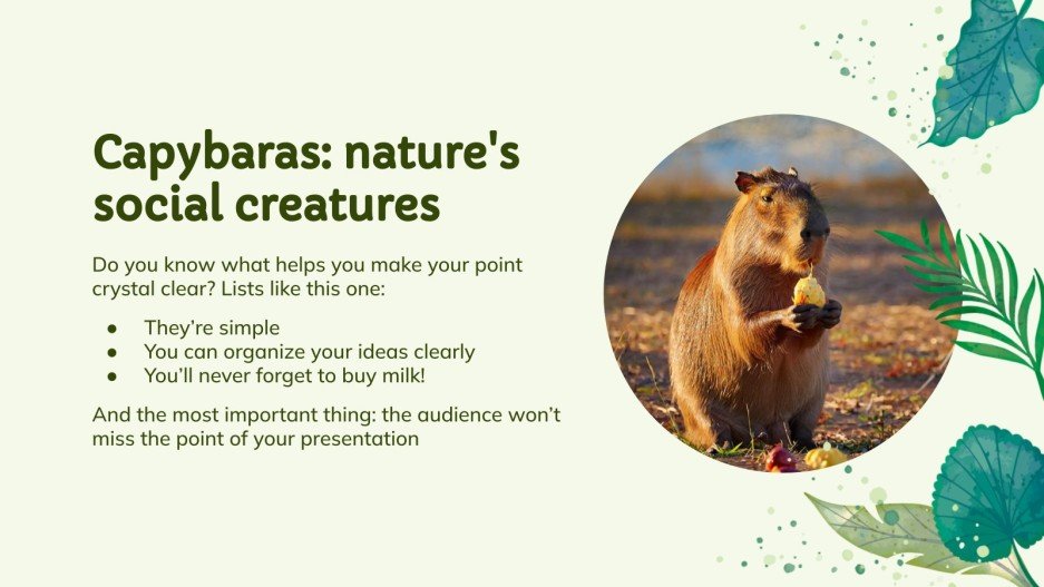 How does the Capybara live? Presentation