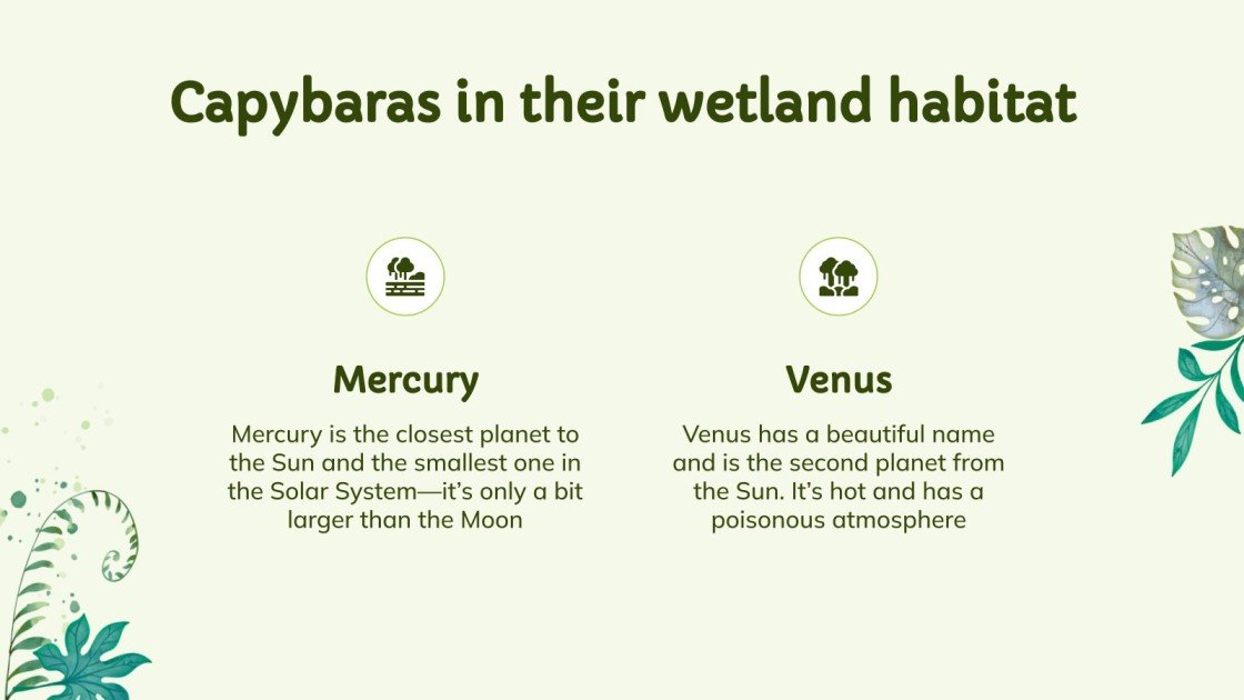 How does the Capybara live? Presentation