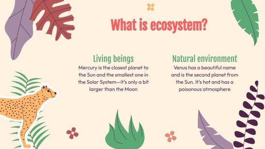 Science Activities: Ecosystems and Food Chain