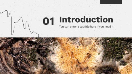 Biology Subject: Volcanic Lava Formations Presentation