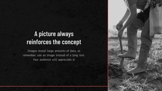 Landless Workers' Movement (MST) Thesis Defense Presentation