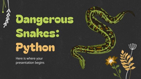 Dangerous Snakes: Python Presentation