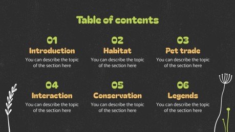 Dangerous Snakes: Python Presentation