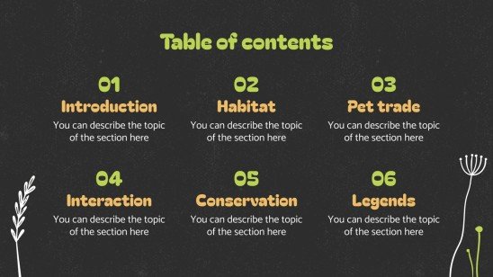 Dangerous Snakes: Python Presentation