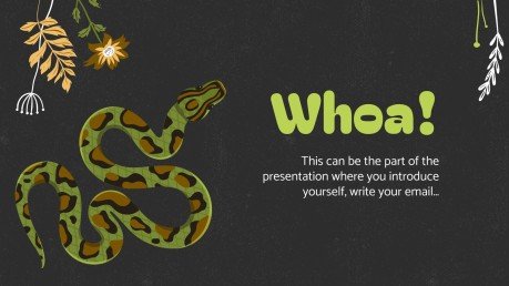Dangerous Snakes: Python Presentation