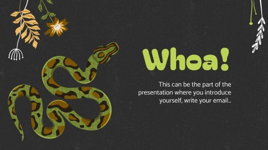 Dangerous Snakes: Python Presentation