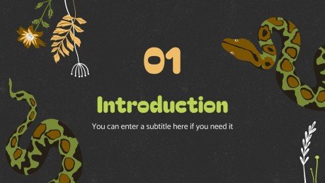 Dangerous Snakes: Python Presentation