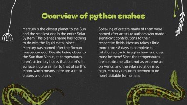 Dangerous Snakes: Python Presentation