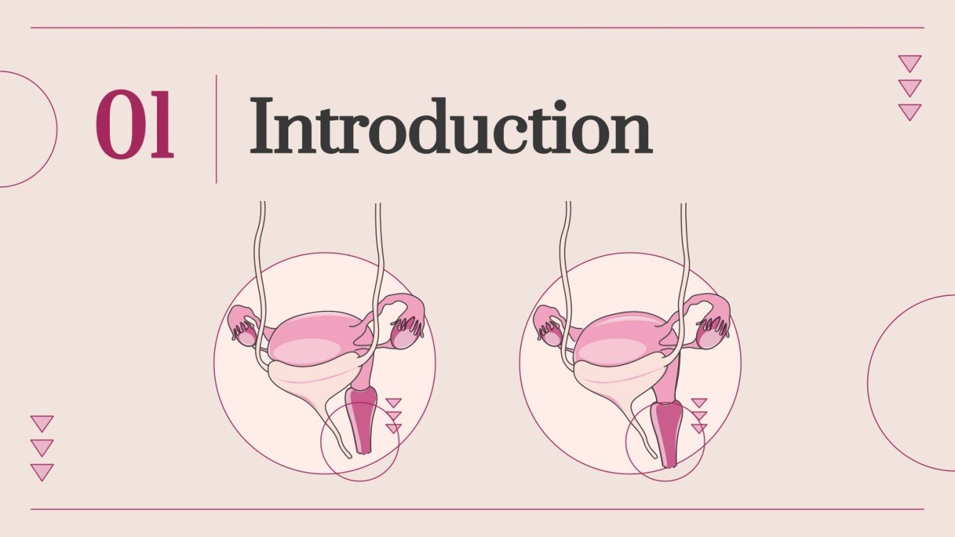 Aparato reproductor femenino: prolapso del útero