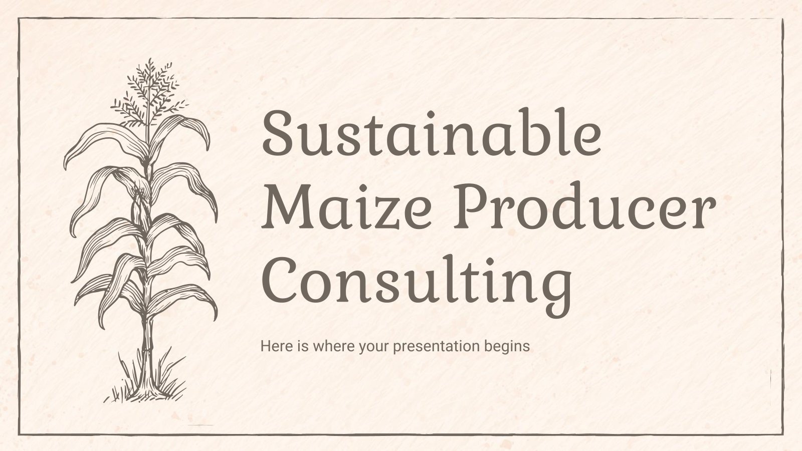 Sustainable Maize Producer Consulting Presentation
