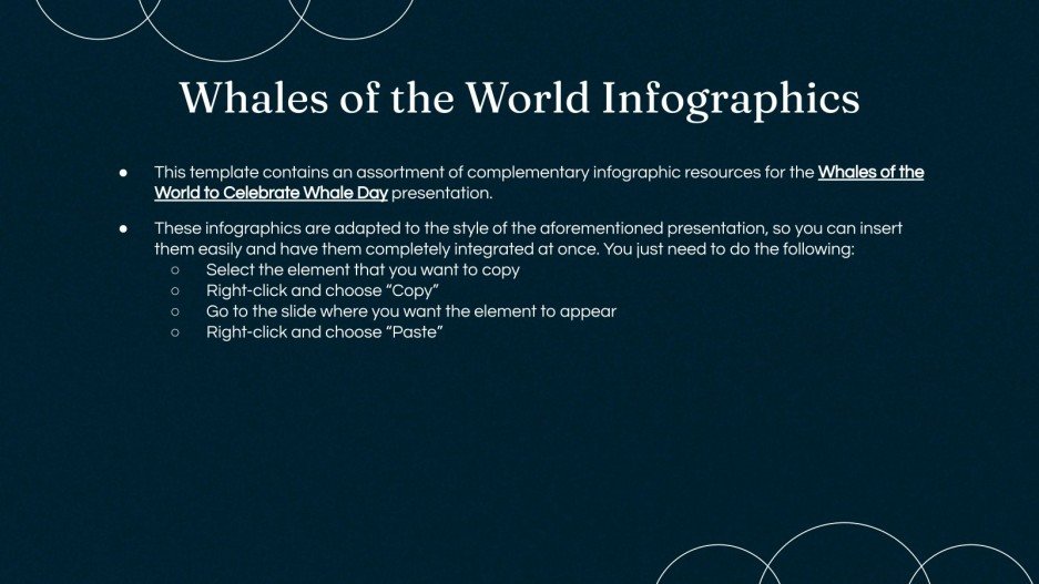 Whales of the World to Celebrate Whale Day Infographics Presentation