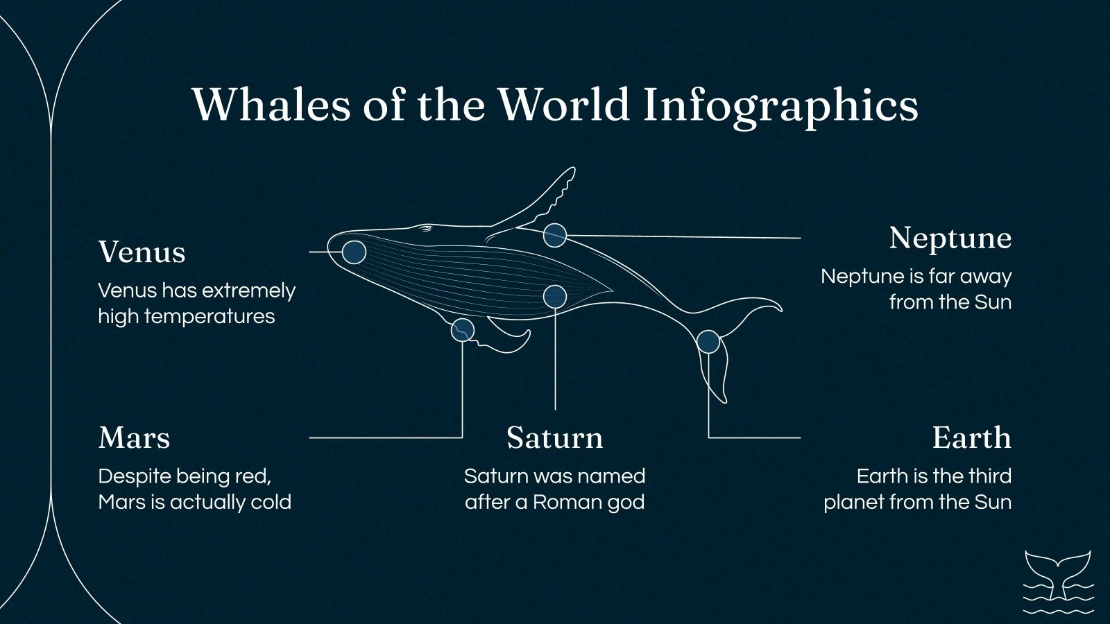 Whales of the World to Celebrate Whale Day Infographics Presentation