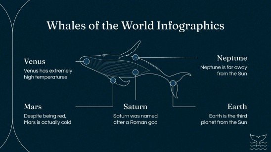 Whales of the World to Celebrate Whale Day Infographics Presentation