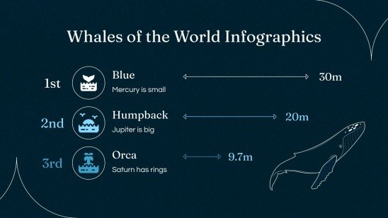 Whales of the World to Celebrate Whale Day Infographics Presentation