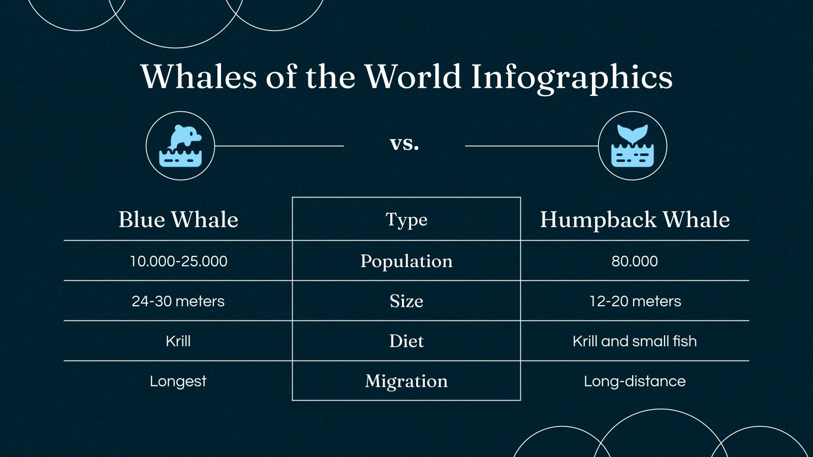 Whales of the World to Celebrate Whale Day Infographics Presentation