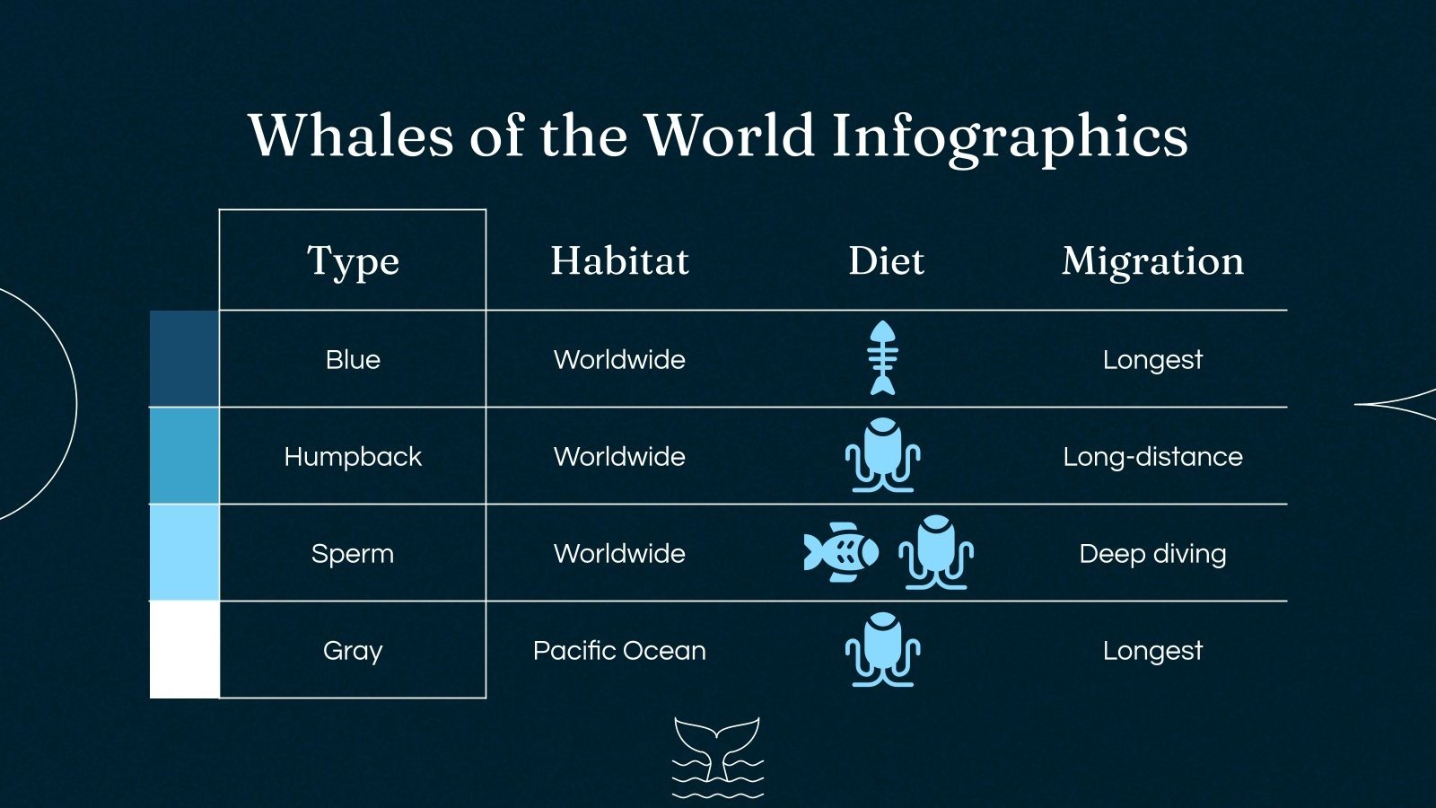Whales of the World to Celebrate Whale Day Infographics Presentation