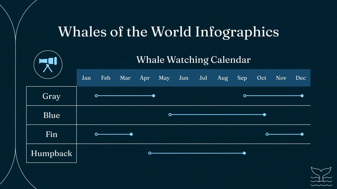 Whales of the World to Celebrate Whale Day Infographics Presentation