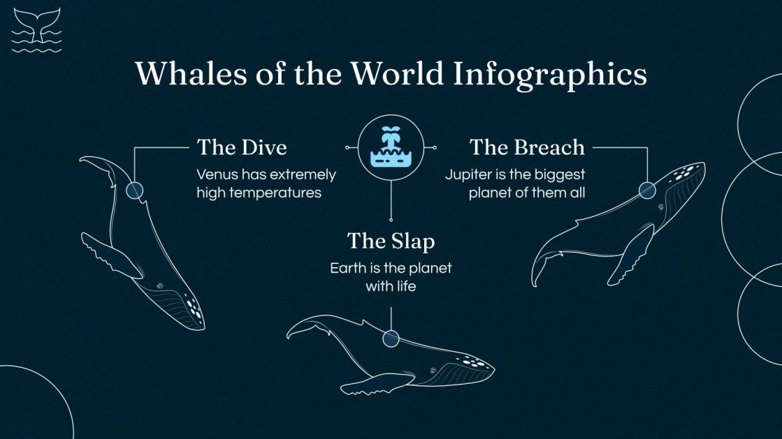 Whales of the World to Celebrate Whale Day Infographics Presentation