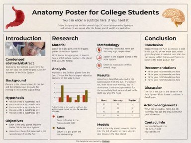Anatomy Poster for College Students Presentation