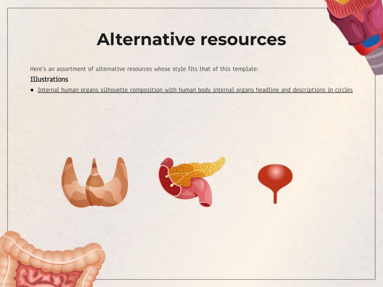 Anatomy Poster for College Students Presentation