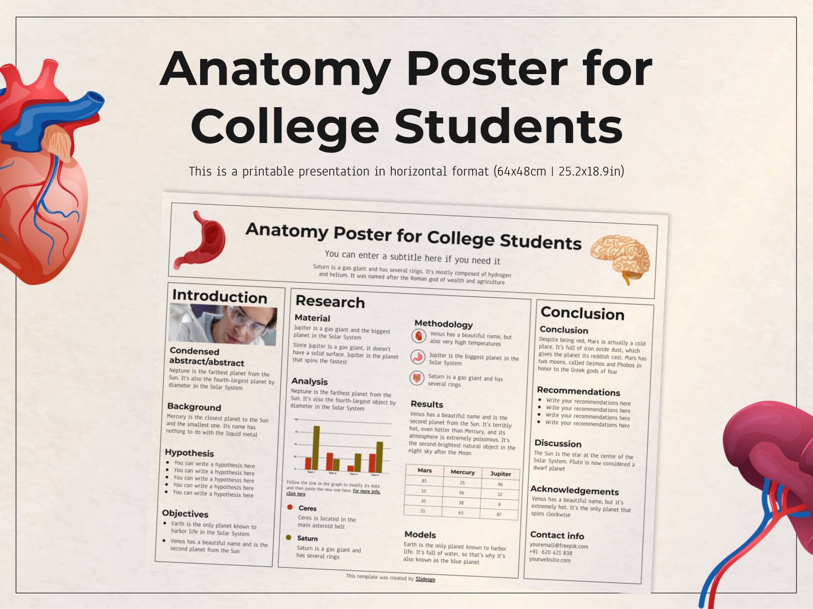 Pôster de anatomia para estudantes universitários