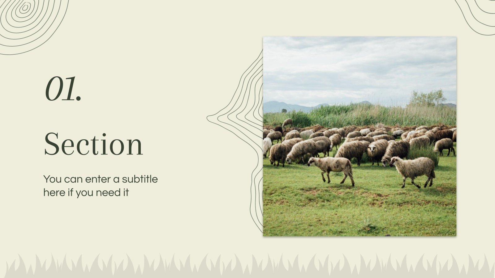 Pasture Management for Cattle Presentation