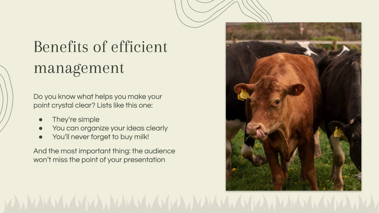 Pasture Management for Cattle Presentation