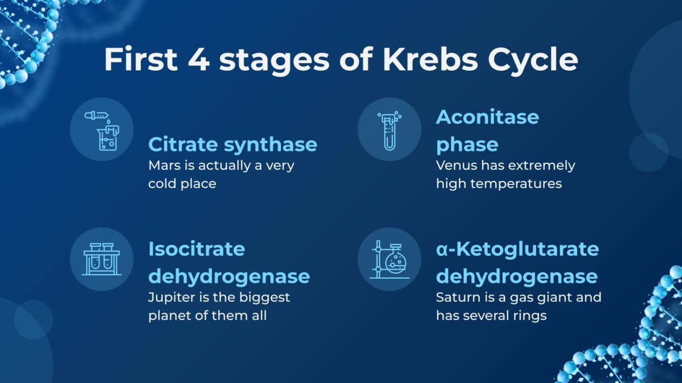 Biochemistry Lesson For University Krebs Cycle Presentation