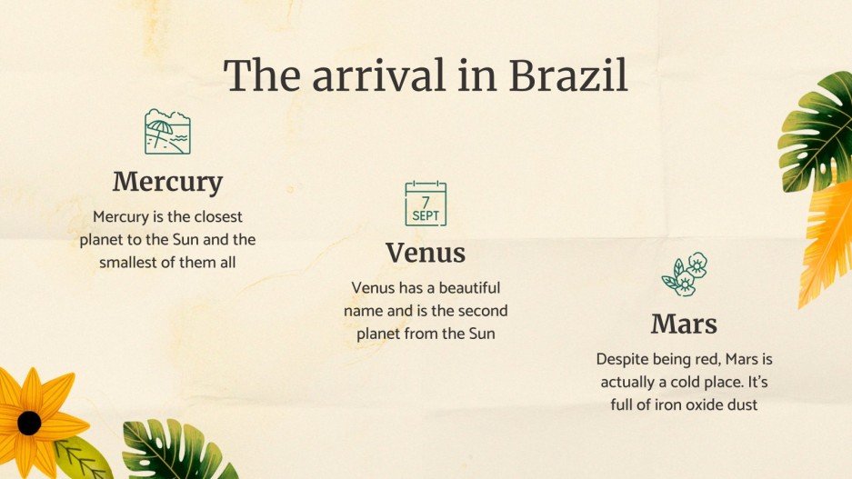 Social Studies Subject for High School: Discovery of Brazil Presentation