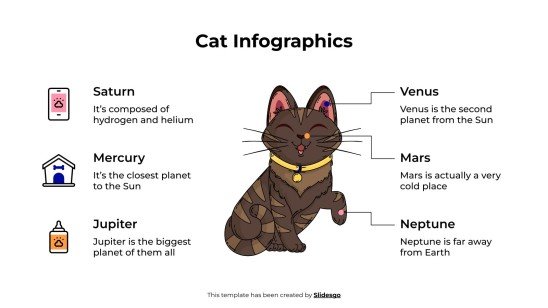 Cat Infographics Template