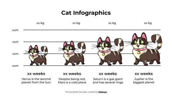 Cat Infographics Template