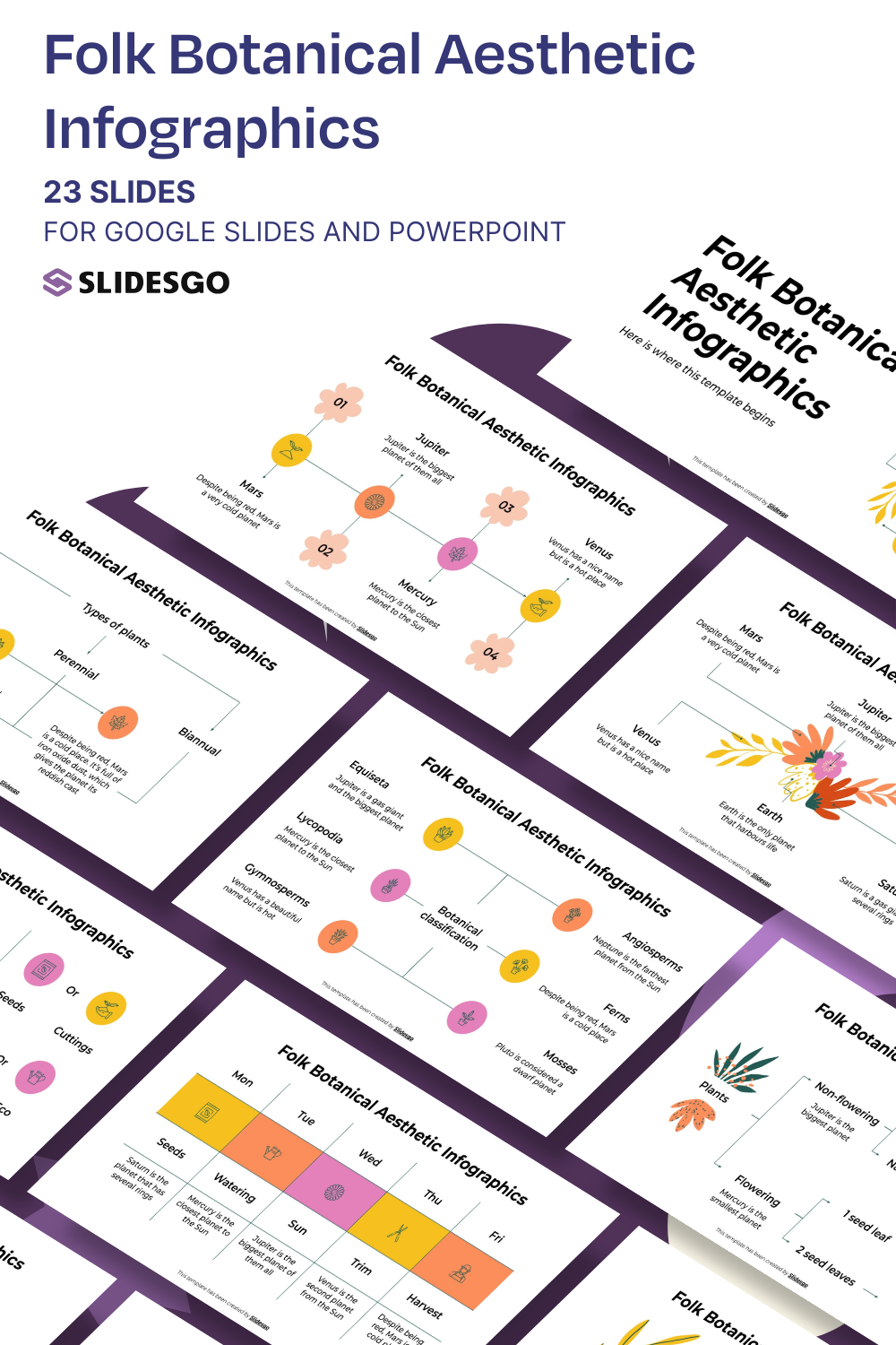 Folk Botanical Aesthetic Infographics Template
