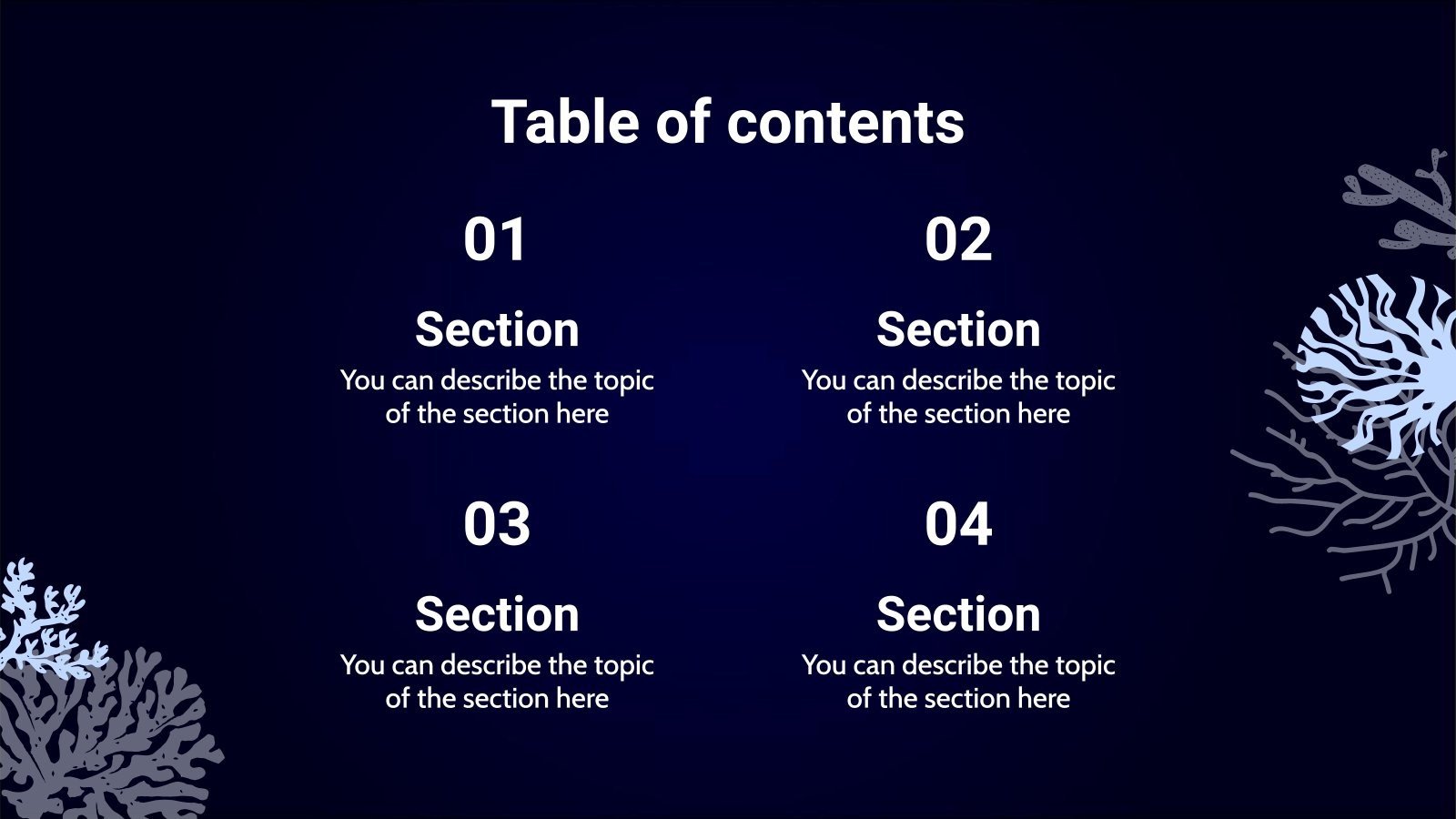 The Wonders of the Seas: Echinoderms Presentation