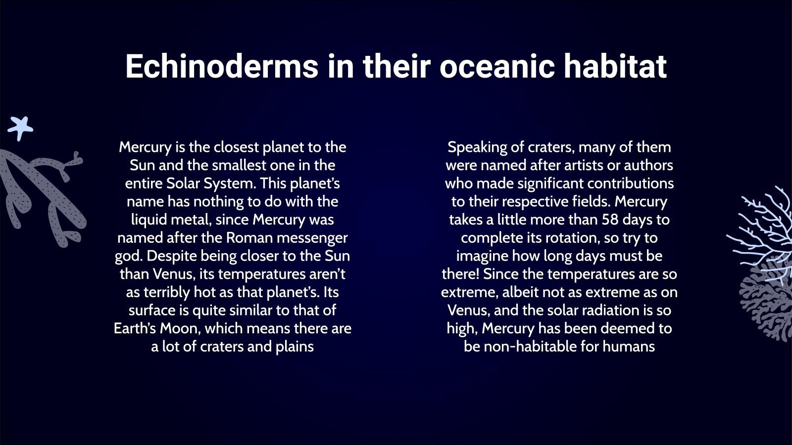 The Wonders of the Seas: Echinoderms Presentation