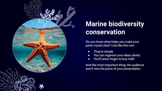 The Wonders of the Seas: Echinoderms Presentation